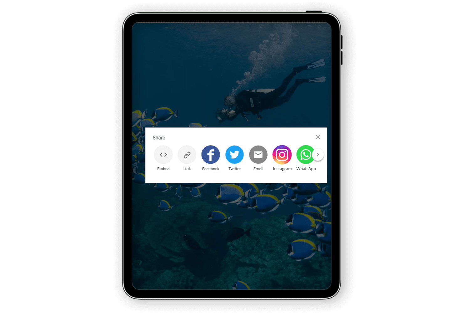 8K 360 Shooting - oVRworldwide